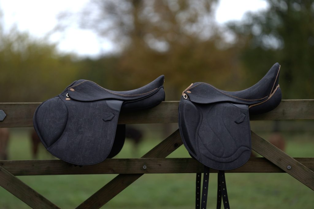 Trensenarten und worauf du bei der Auswahl achten solltest